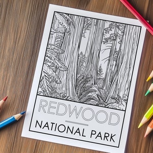 Redwood National Park - Etsy