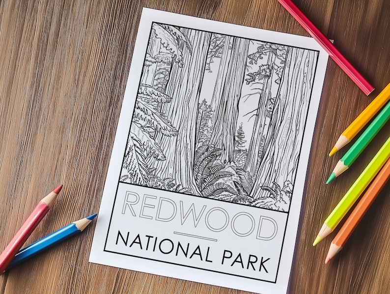 Redwood National Park - Etsy