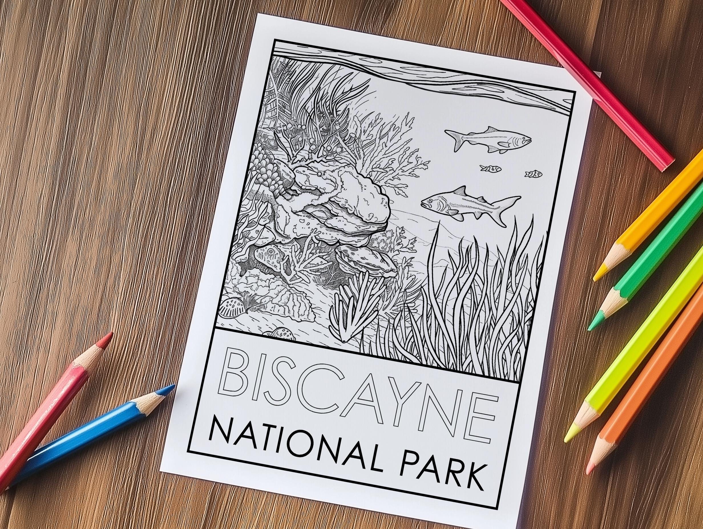 Complete Set of 63 US National Parks Coloring Pages | Instant Digital ...