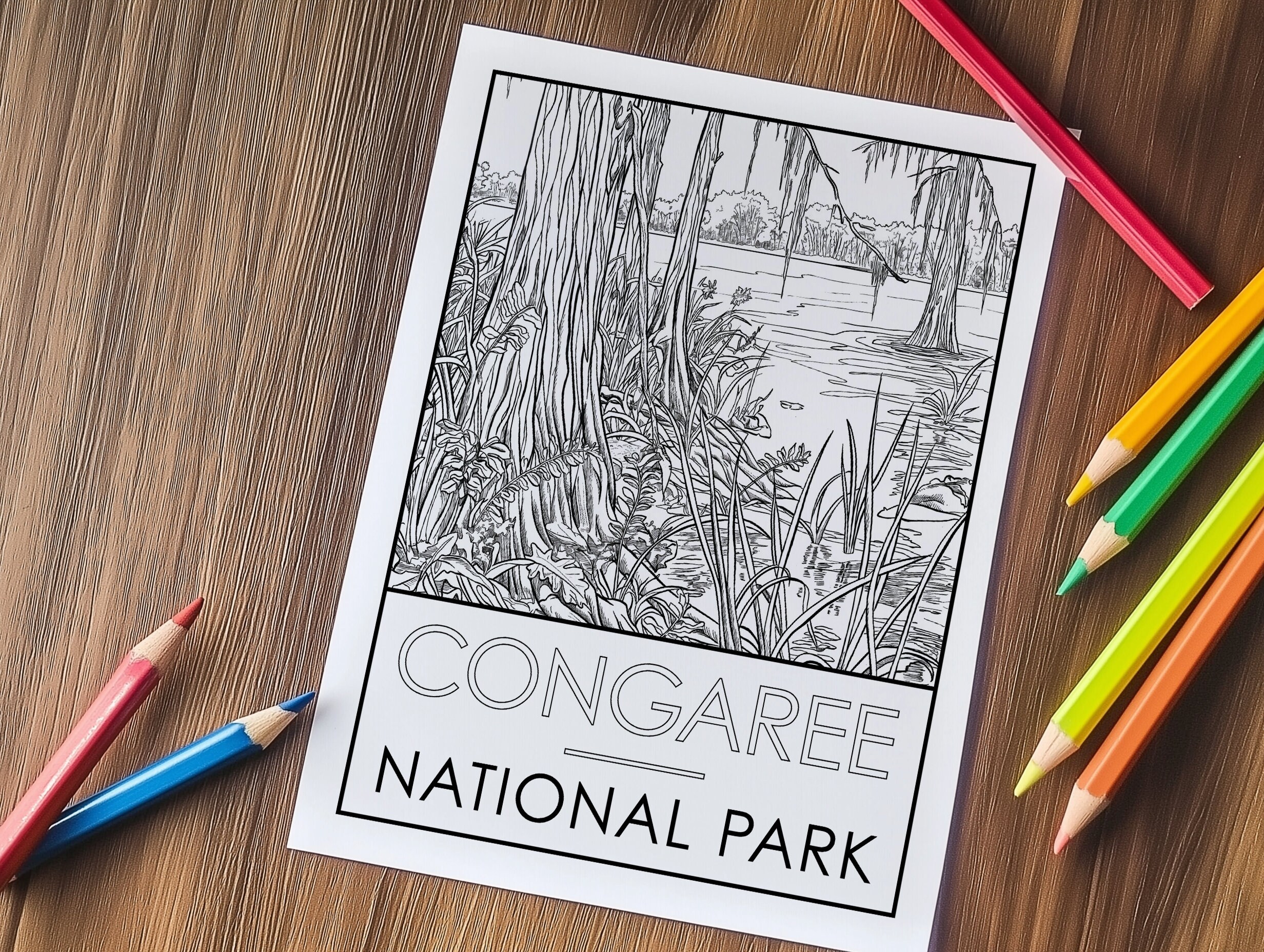 Congaree National Park Coloring Page - Etsy
