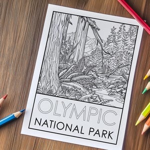 Complete Set of 63 US National Parks Coloring Pages | Instant Digital ...