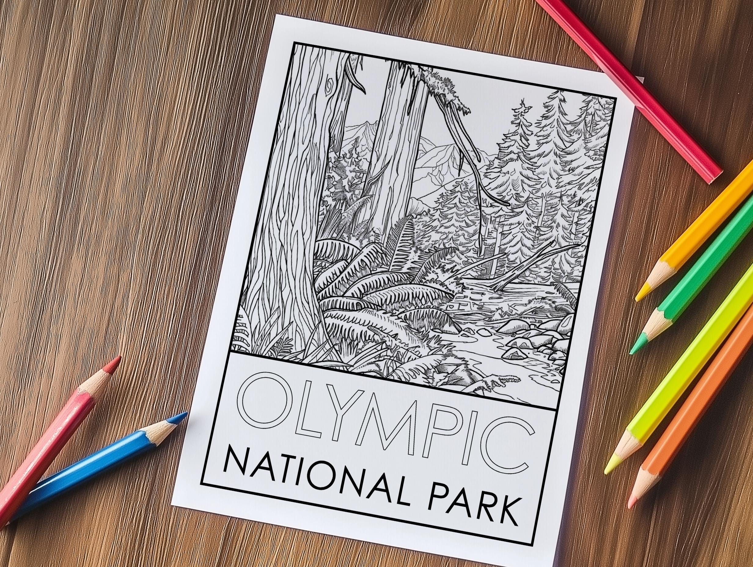 Complete Set of 63 US National Parks Coloring Pages | Instant Digital ...