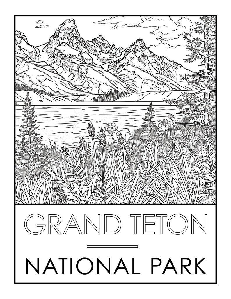 National Parks Coloring Pages: Acadia, Zion, Grand Teton (digital ...