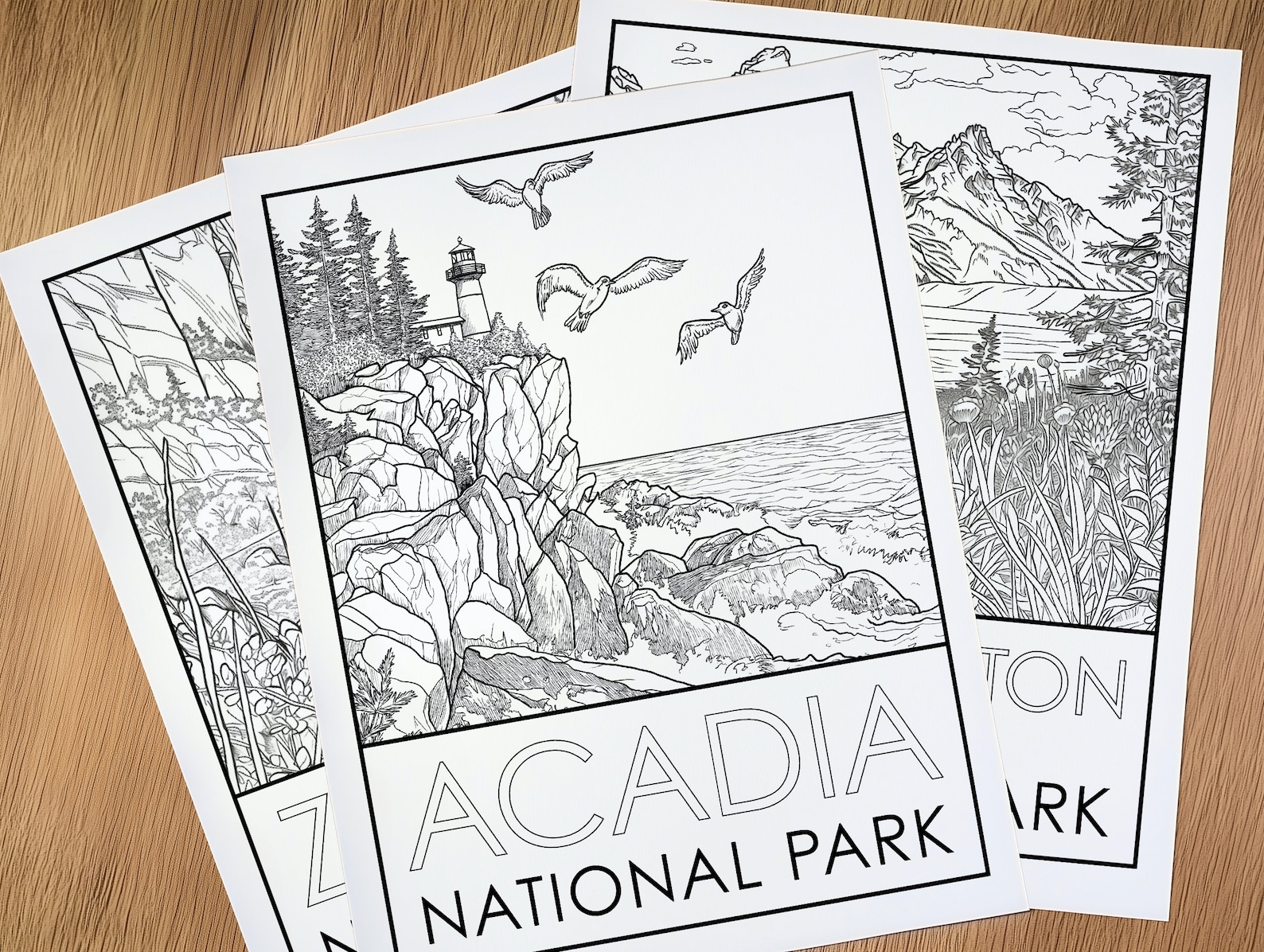 National Parks Coloring Pages: Acadia, Zion, Grand Teton (digital ...