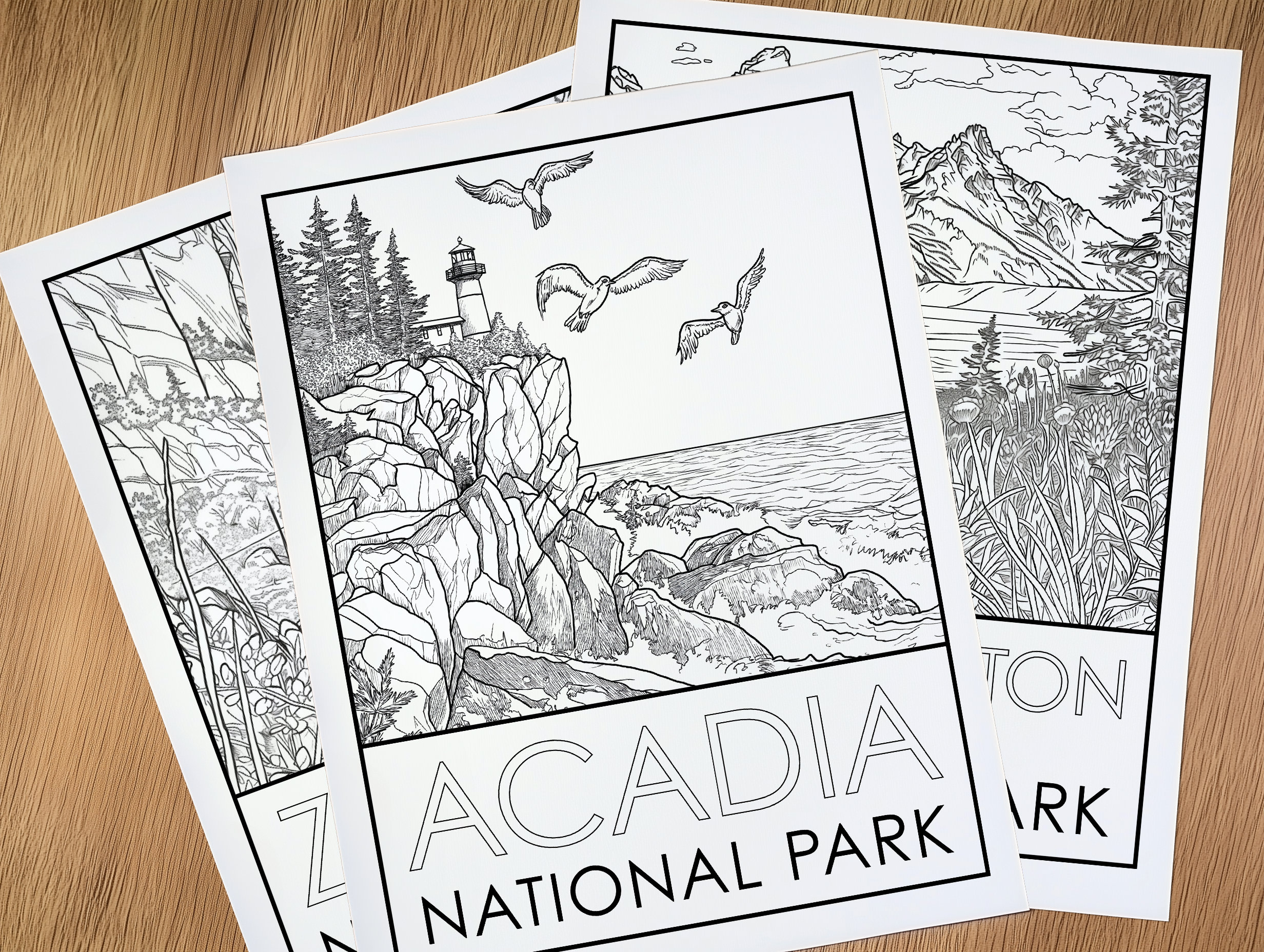 National Parks Coloring Pages: Acadia, Zion, Grand Teton (digital ...