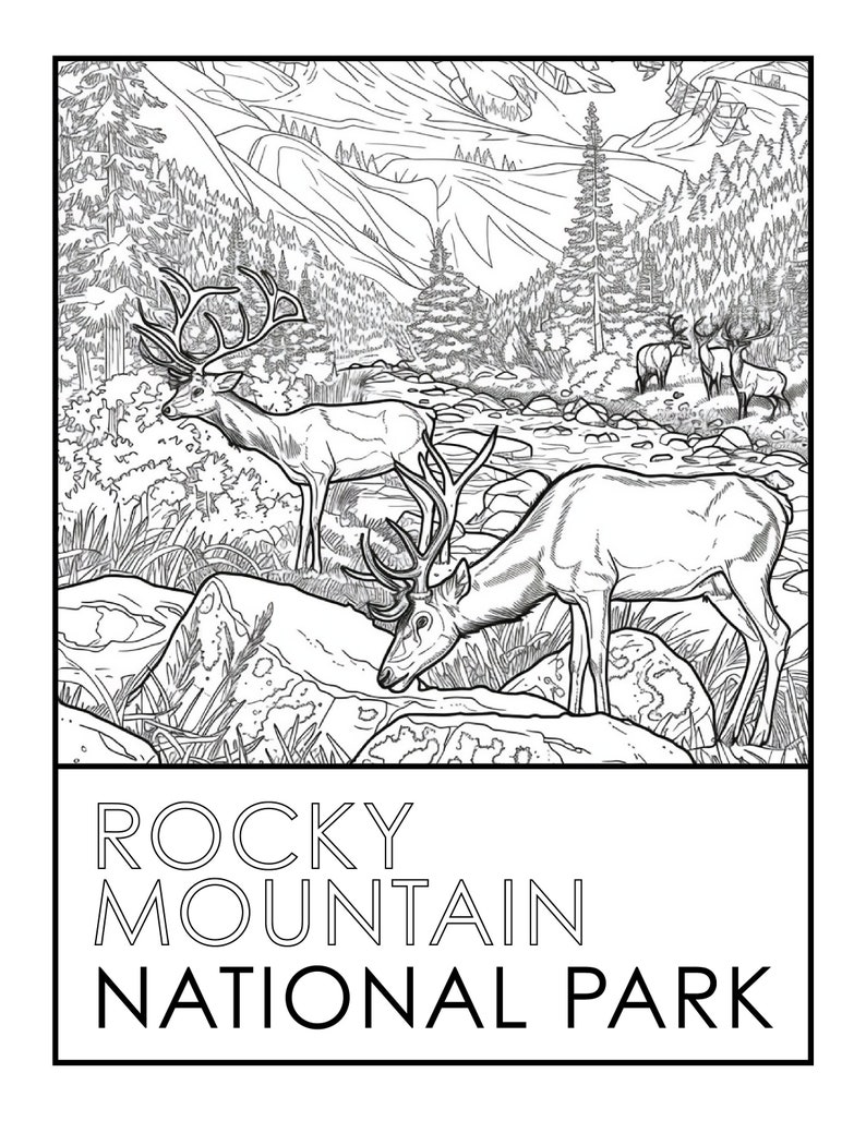Rocky Mountain National Park Coloring Page - Etsy
