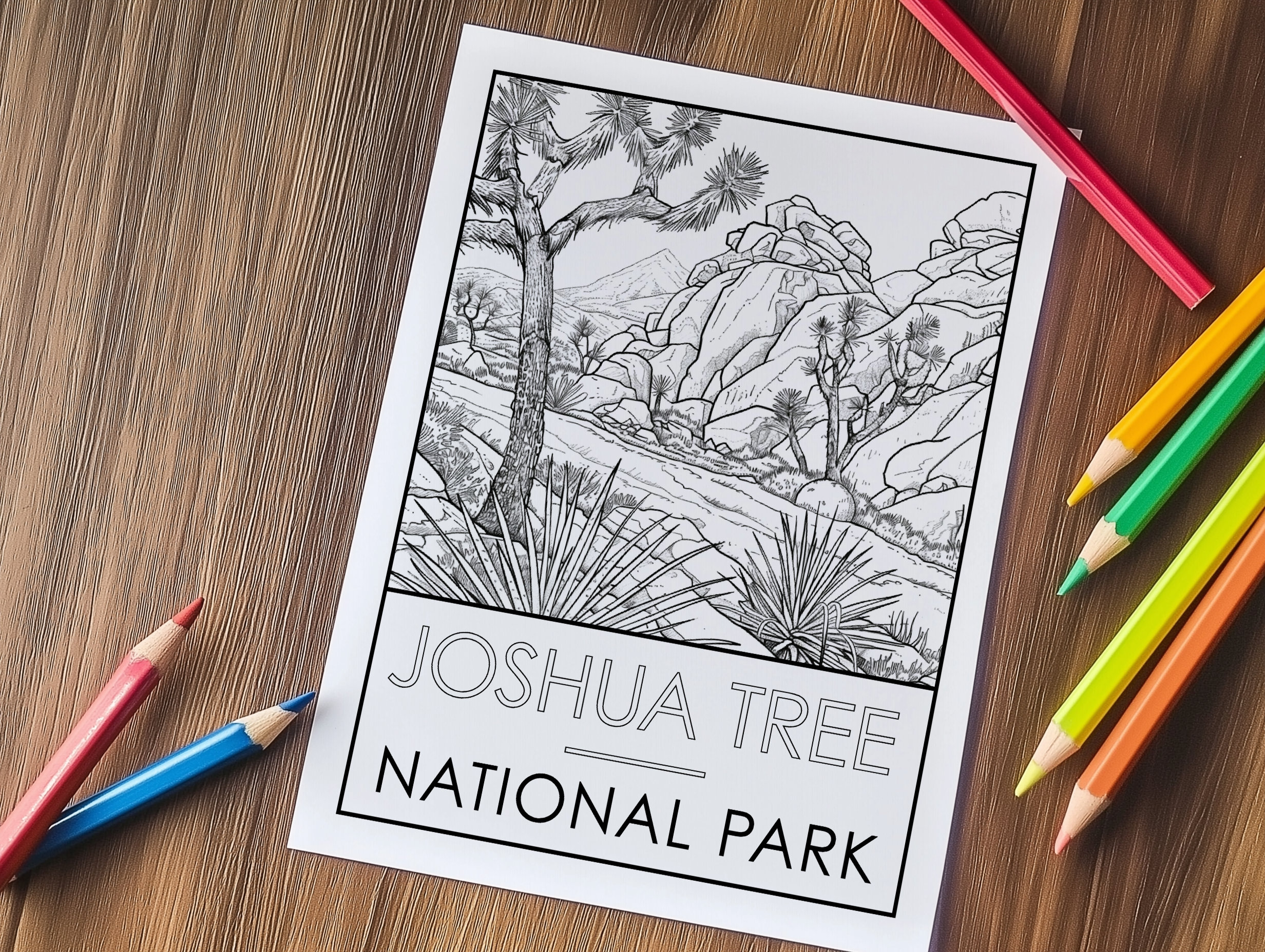 US National Parks Coloring Pages Bundle: Yosemite, Joshua Tree, & Rocky ...