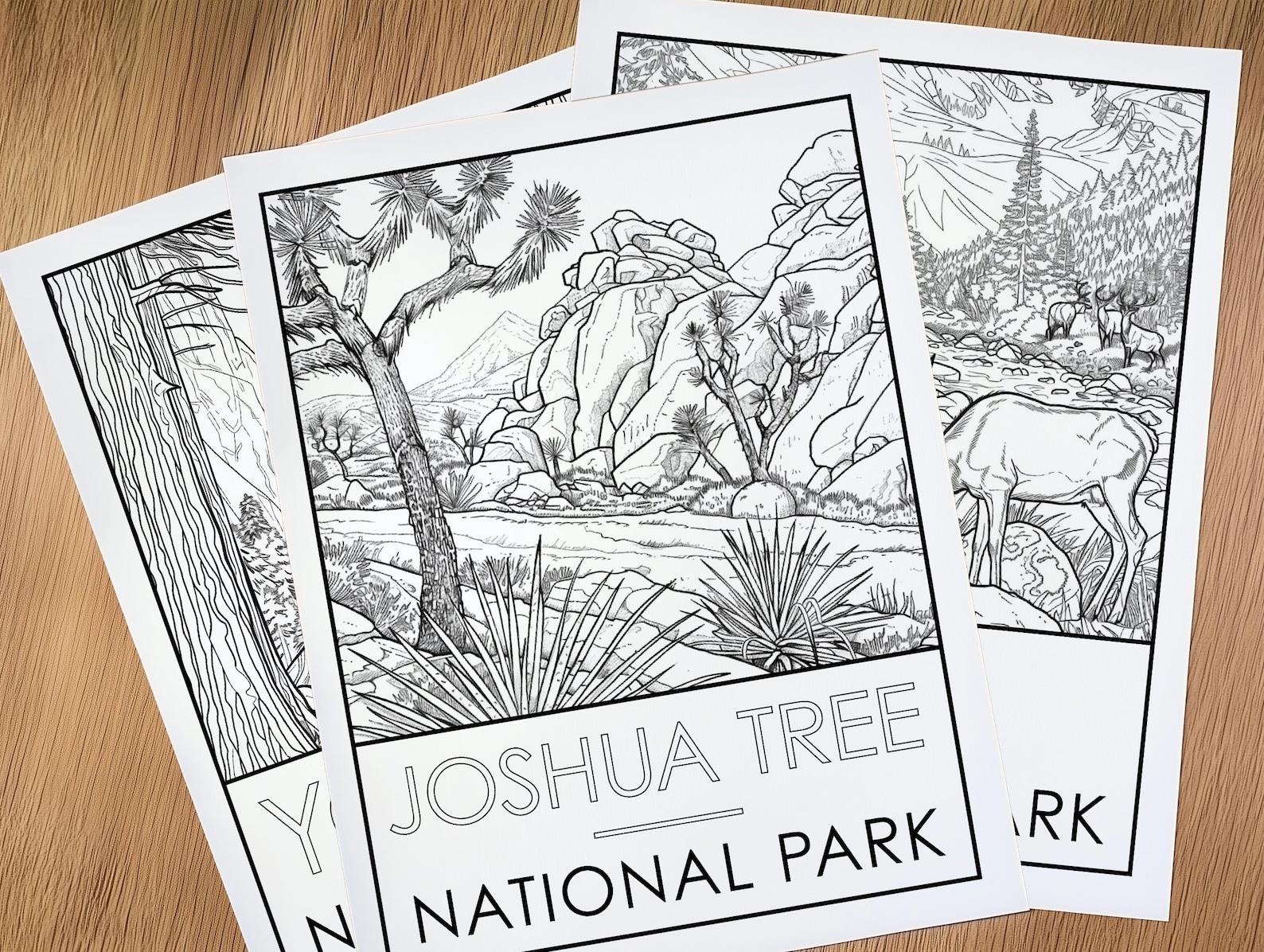 Complete Set of 63 US National Parks Coloring Pages | Instant Digital ...