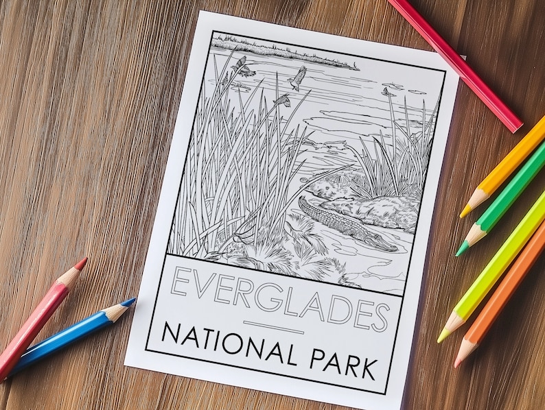 Everglades National Park Coloring Page - Etsy