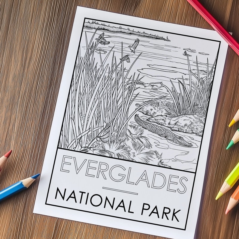 Everglades Art - Etsy