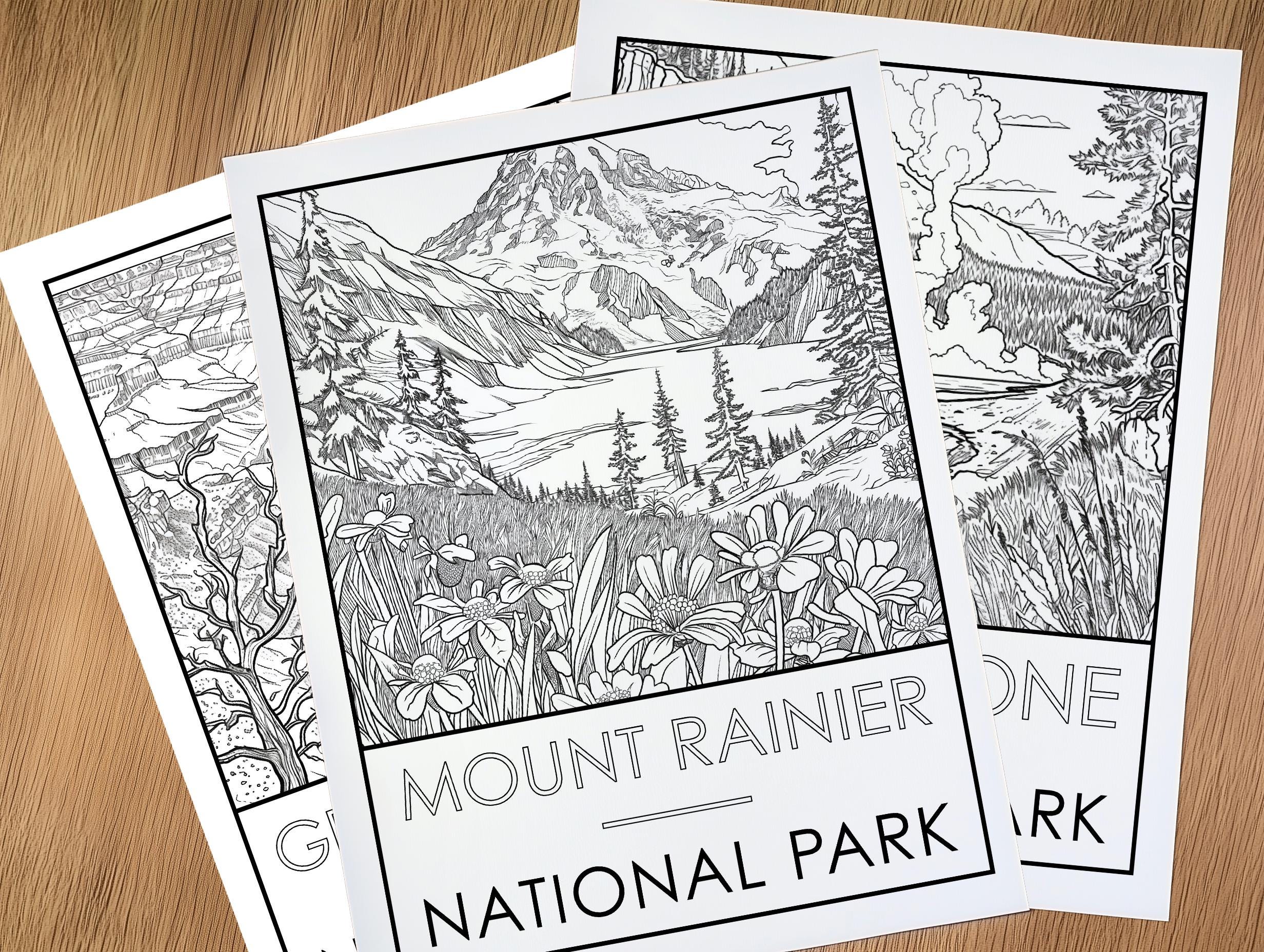 Complete Set of 63 US National Parks Coloring Pages | Instant Digital ...