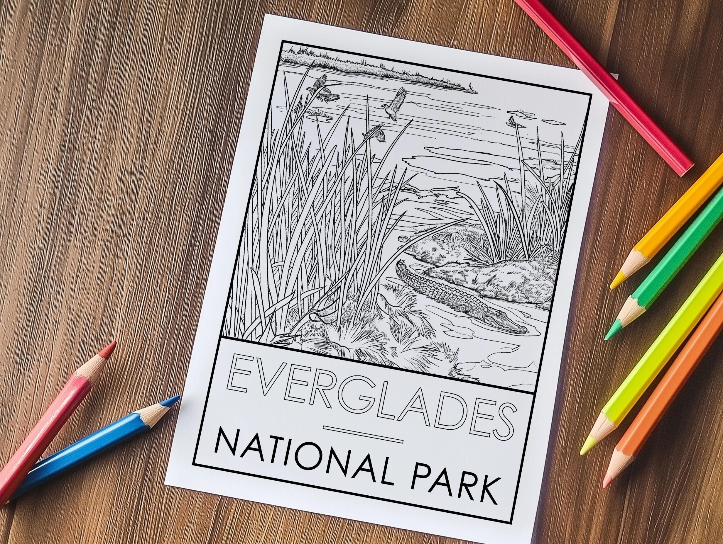 Complete Set of 63 US National Parks Coloring Pages | Instant Digital ...
