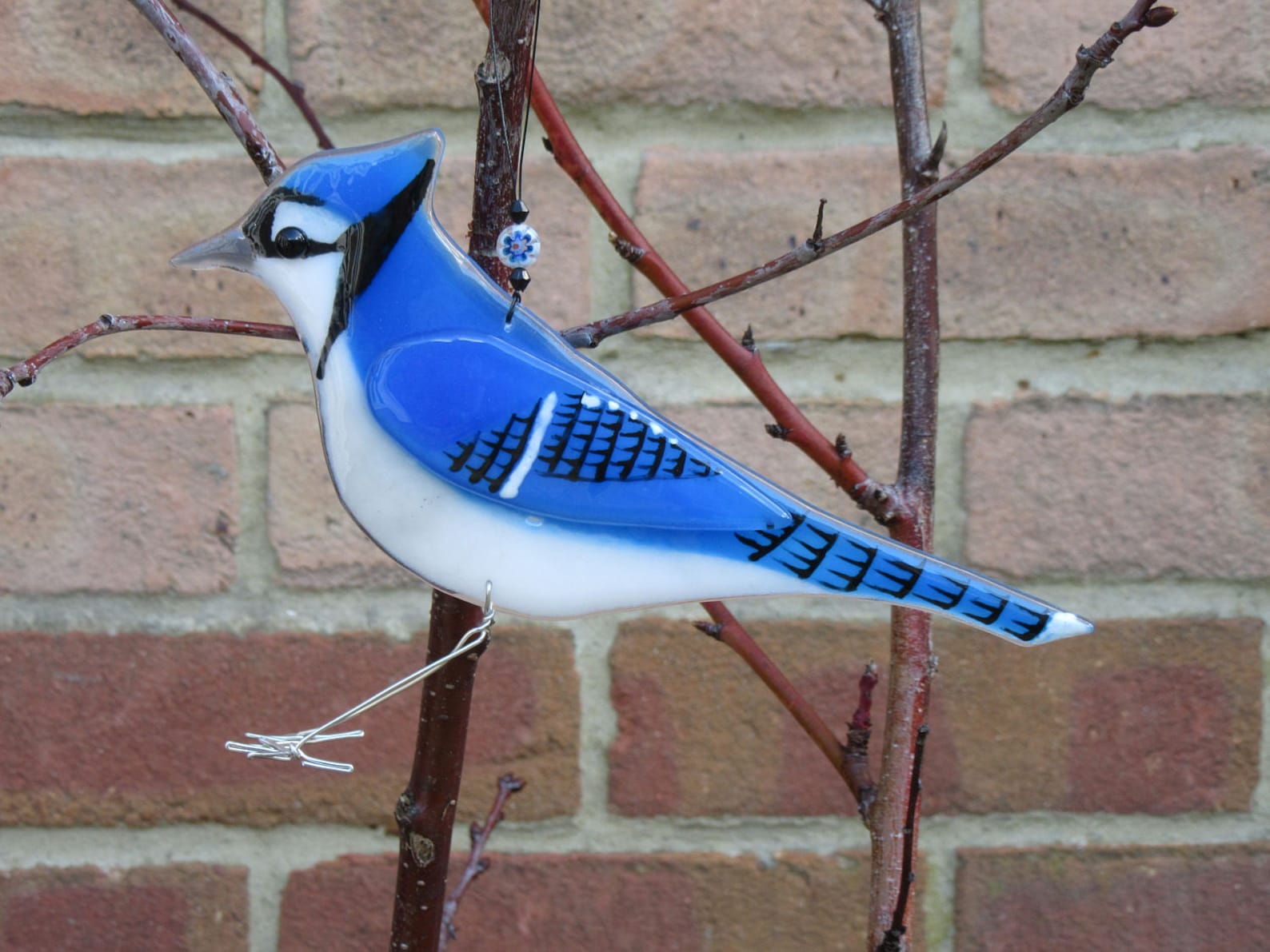Fused Glass Blue Jay Blue Jay Bird Bird Lover Gift - Etsy