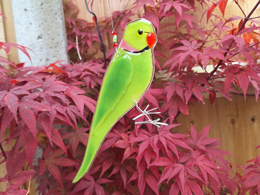 Rose-ringed Parakeet, Kramer Parrot, Fused Glass Bird, UK Wild Bird ...