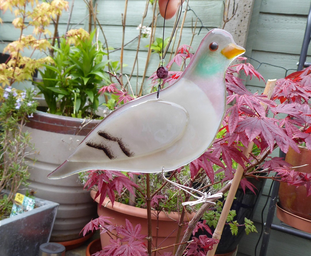 Fused Glass Pigeon, Pigeon Fancier Gift, Garden Bird, Garden Ornament ...