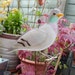 Fused Glass Pigeon, Pigeon Fancier Gift, Garden Bird, Garden Ornament ...