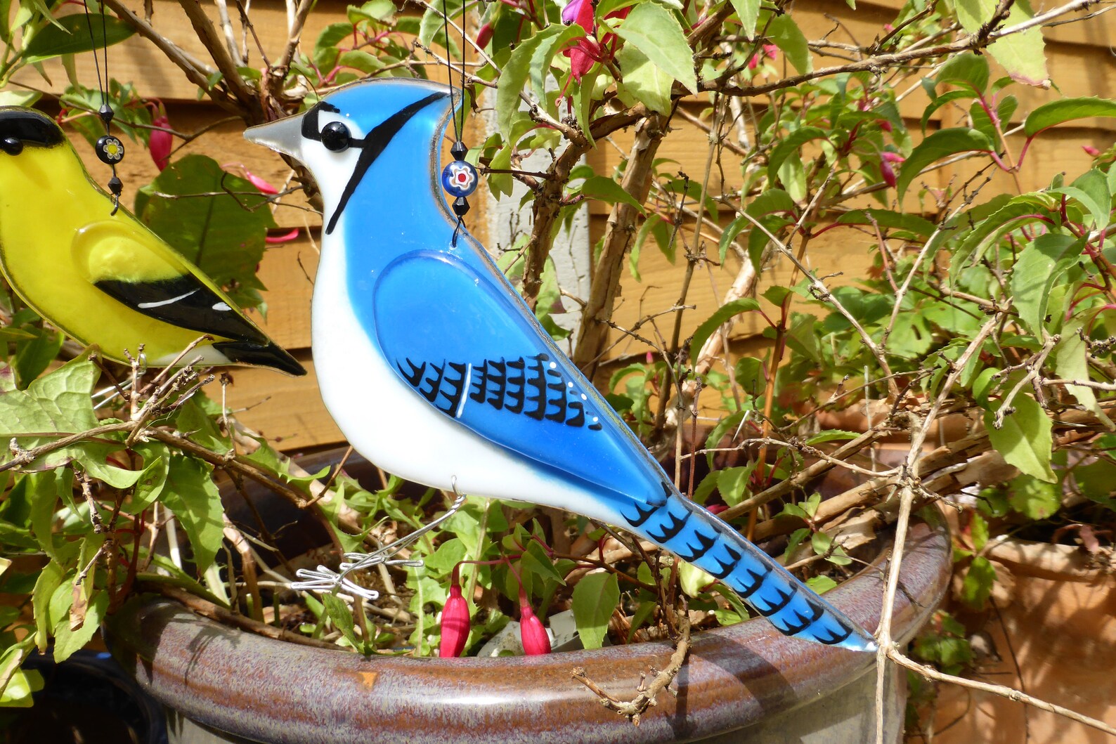 Fused glass blue jay blue jay bird bird lover gift | Etsy