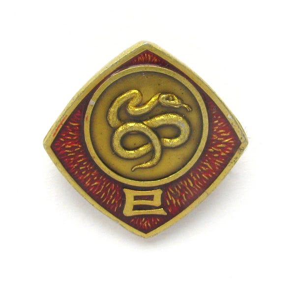 Snake Pin - Etsy