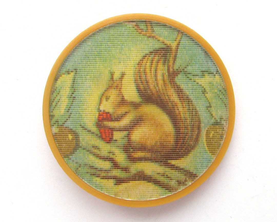 Squirrel Pin, Pinecone, Soviet Pin, Vintage Plastic Badge, Rare Pin ...