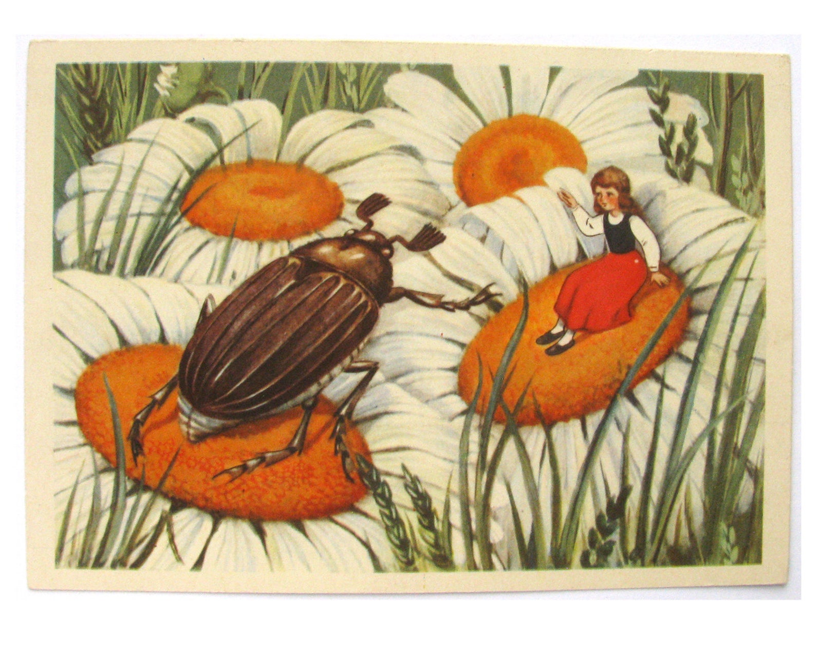 Thumbelina and Beetle Rare Unused Postcard Illustration | Etsy