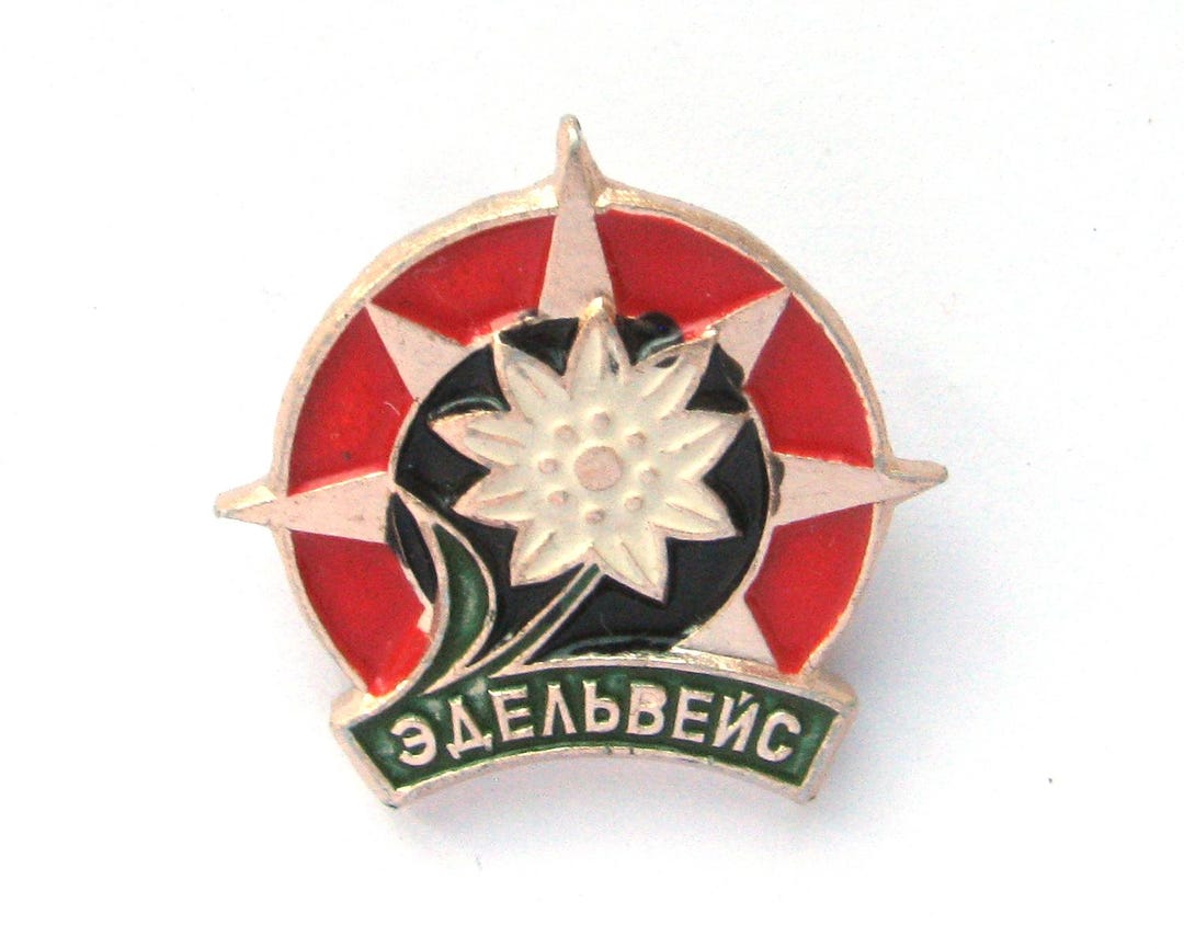 Edelweiss Pin, Flower Pin, Vintage Metal Badge, Soviet Vintage Pin ...