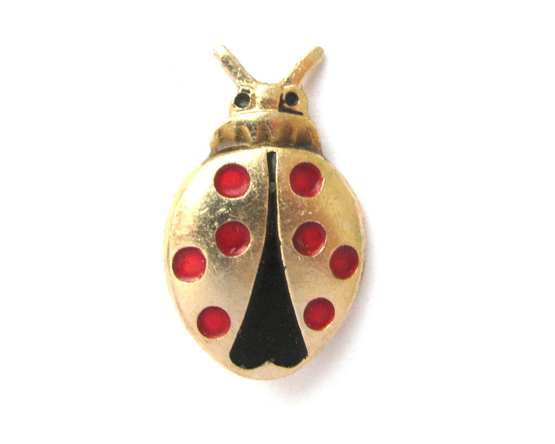 Ladybug Pin, Badge, Bug, Beetle, Vintage Collectible Badge, Pin, Soviet ...