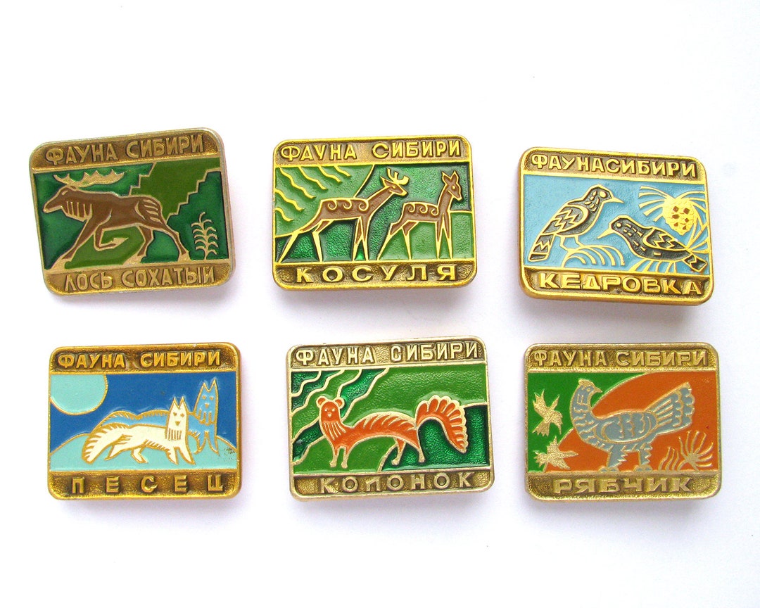 Animal Pins, Rare Soviet Badges, Pick From Set, Fauna of Siberia, Far ...