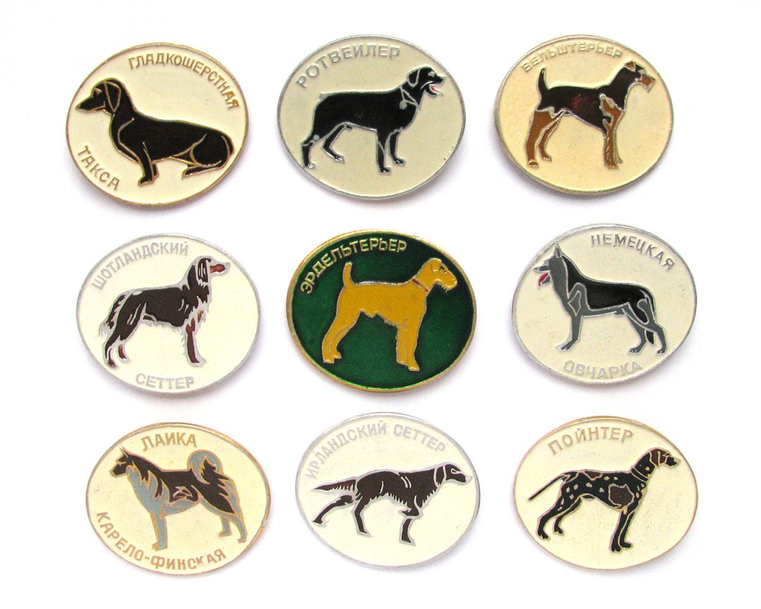 Dog Pins, Badge, Pick Your Pin, Dog Breed Pin, Animal, Pet, Vintage ...