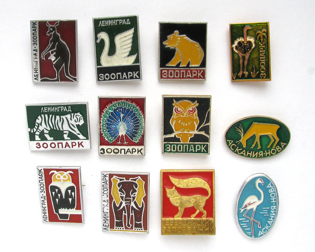 Animals Pins, Zoo, Badge, Fauna, Pick From Set, Rhino, Bear, Fox ...