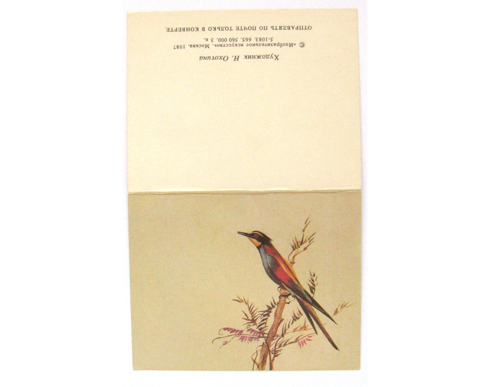 Bird, Soviet Mini Unused Postcard, Illustration, Soviet Vintage ...