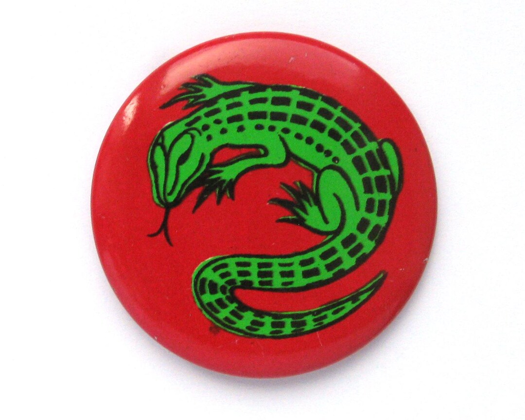 Lizard Pin, Cartoon Character, Tale Character, Vintage Collectible ...