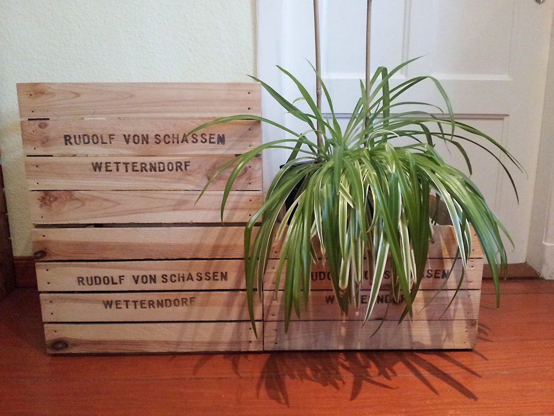 Beautiful Old Apple Box With Imprint 'rudolf Von - Etsy