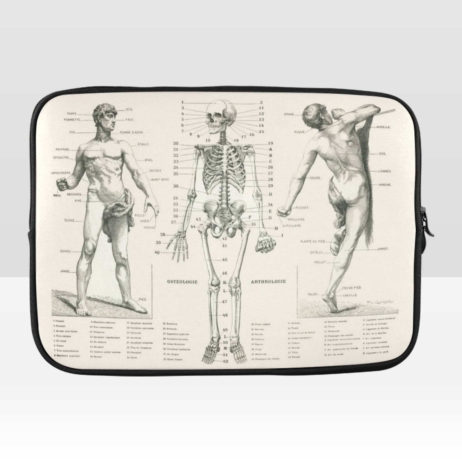 Medical Plate the Human Body Anatomy Laptop Sleeve, MacBook Pro Sleeve ...