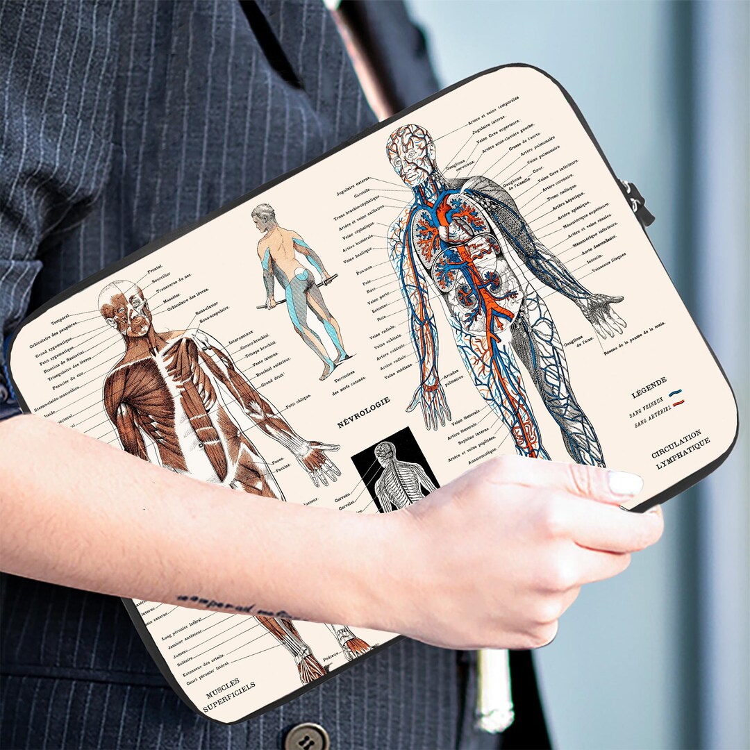 Medical Plate the Nervous & Muscular System Laptop Sleeve, MacBook Pro ...