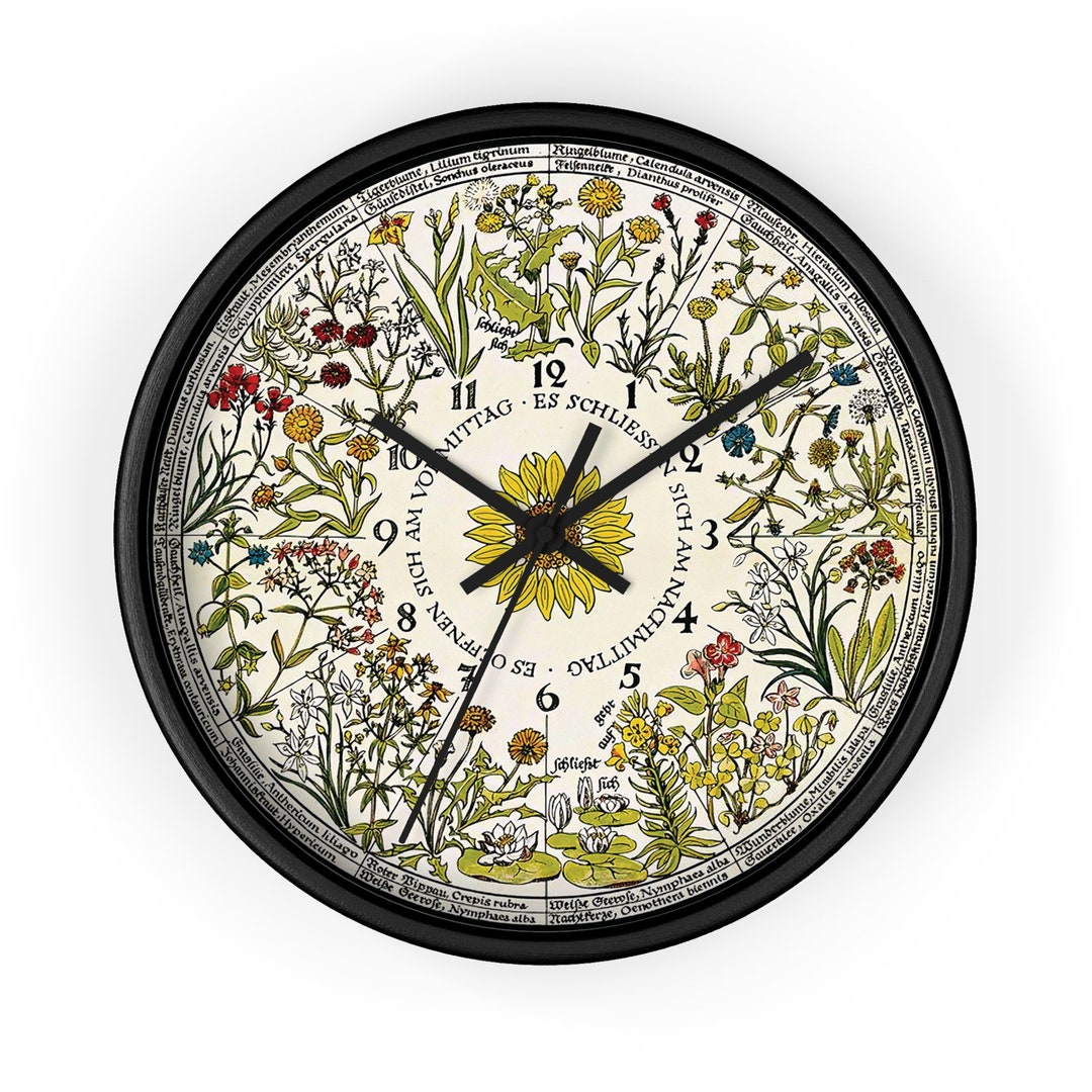 Linnaeus's Flower Wall Clock, Botanical Flower Chart, Interior Wall ...