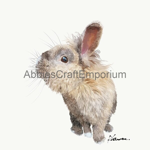 Lionhead Rabbit Art - Etsy