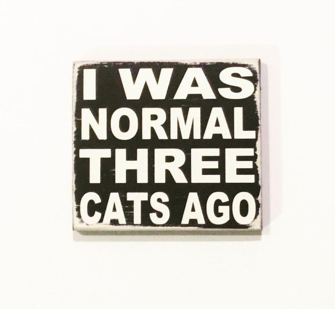 Crazy Cat Lady Sign - Wood Wall Art - Etsy