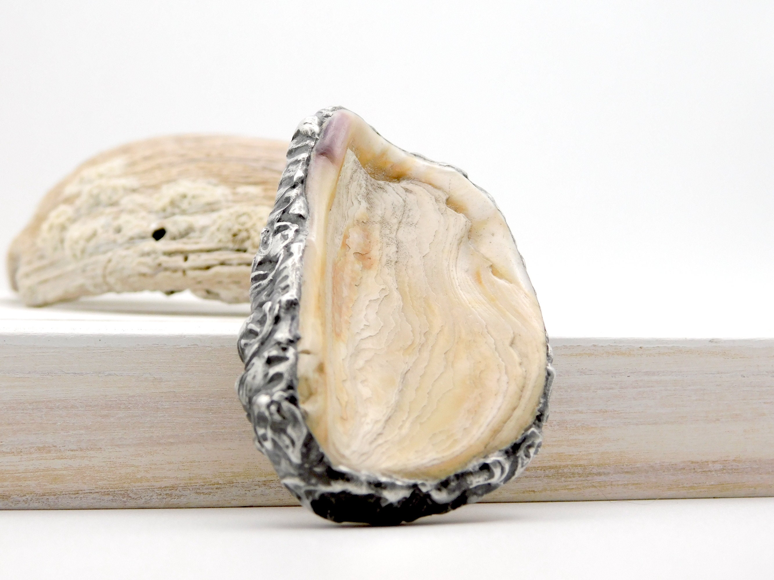 Silent Fidget Toy for Beach Lover Seashell Desk Worry Toy - Etsy