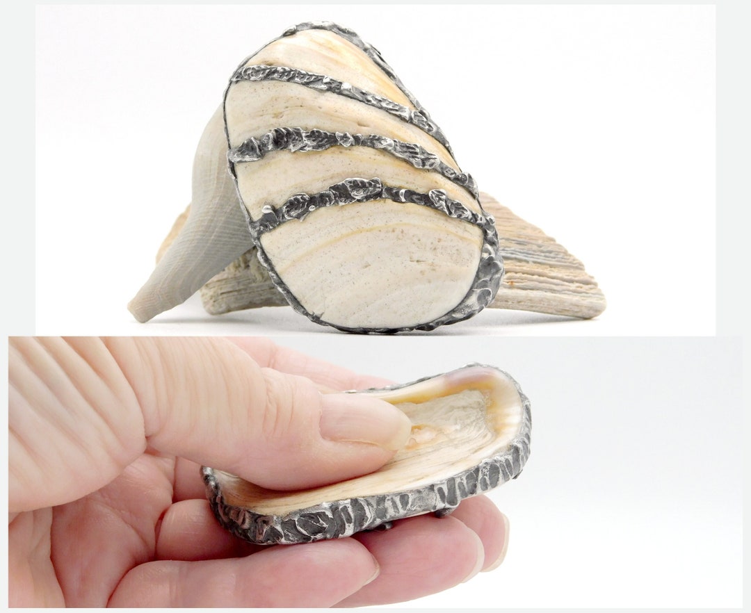 Silent Fidget Toy for Beach Lover Seashell Desk Worry Toy - Etsy