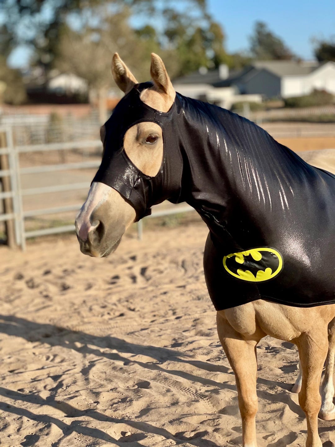 Bat Man Costume Hood for Horses - Sleazy - Etsy