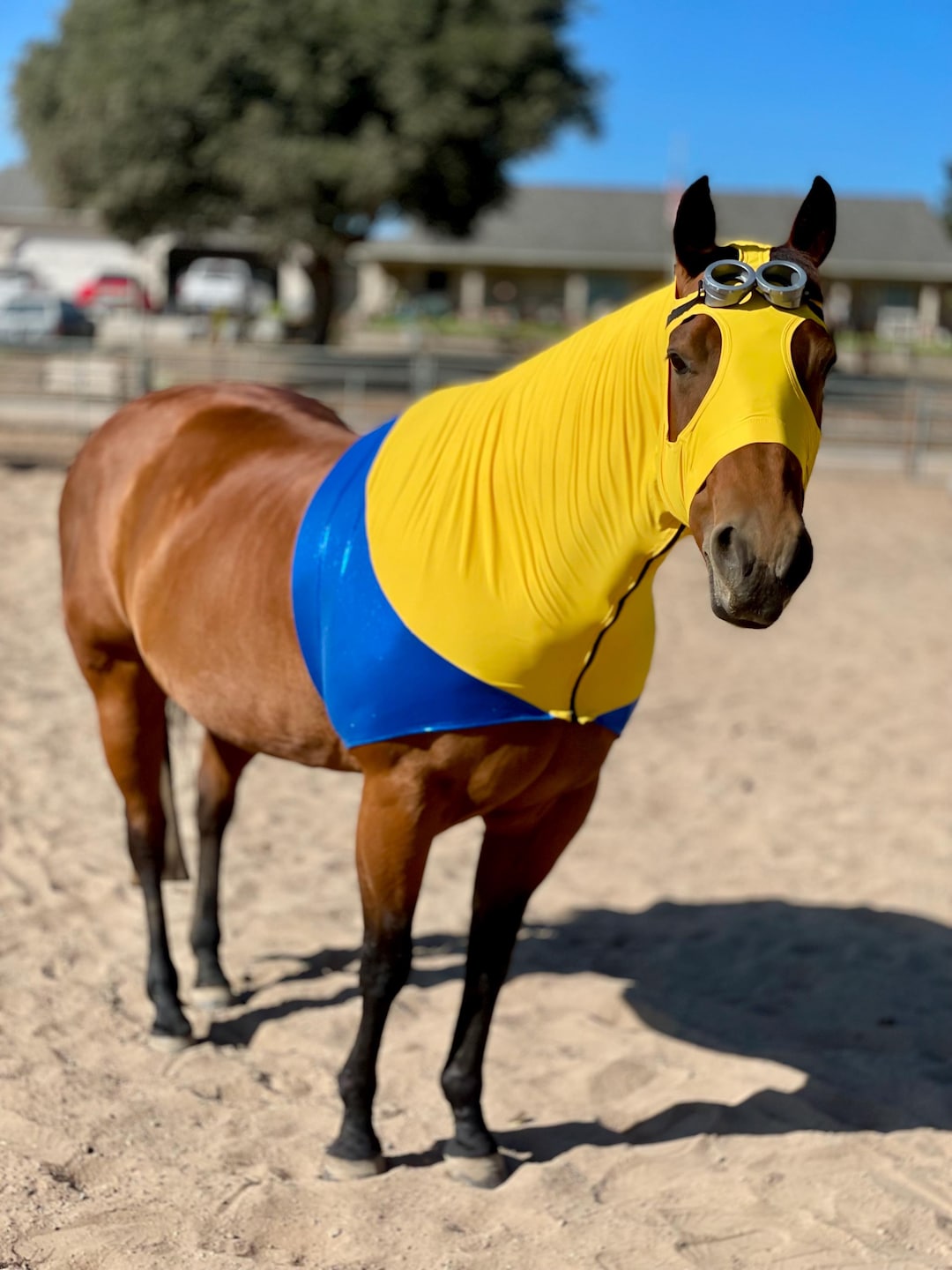 Minions Horse Costume Hood - Sleazy - Etsy
