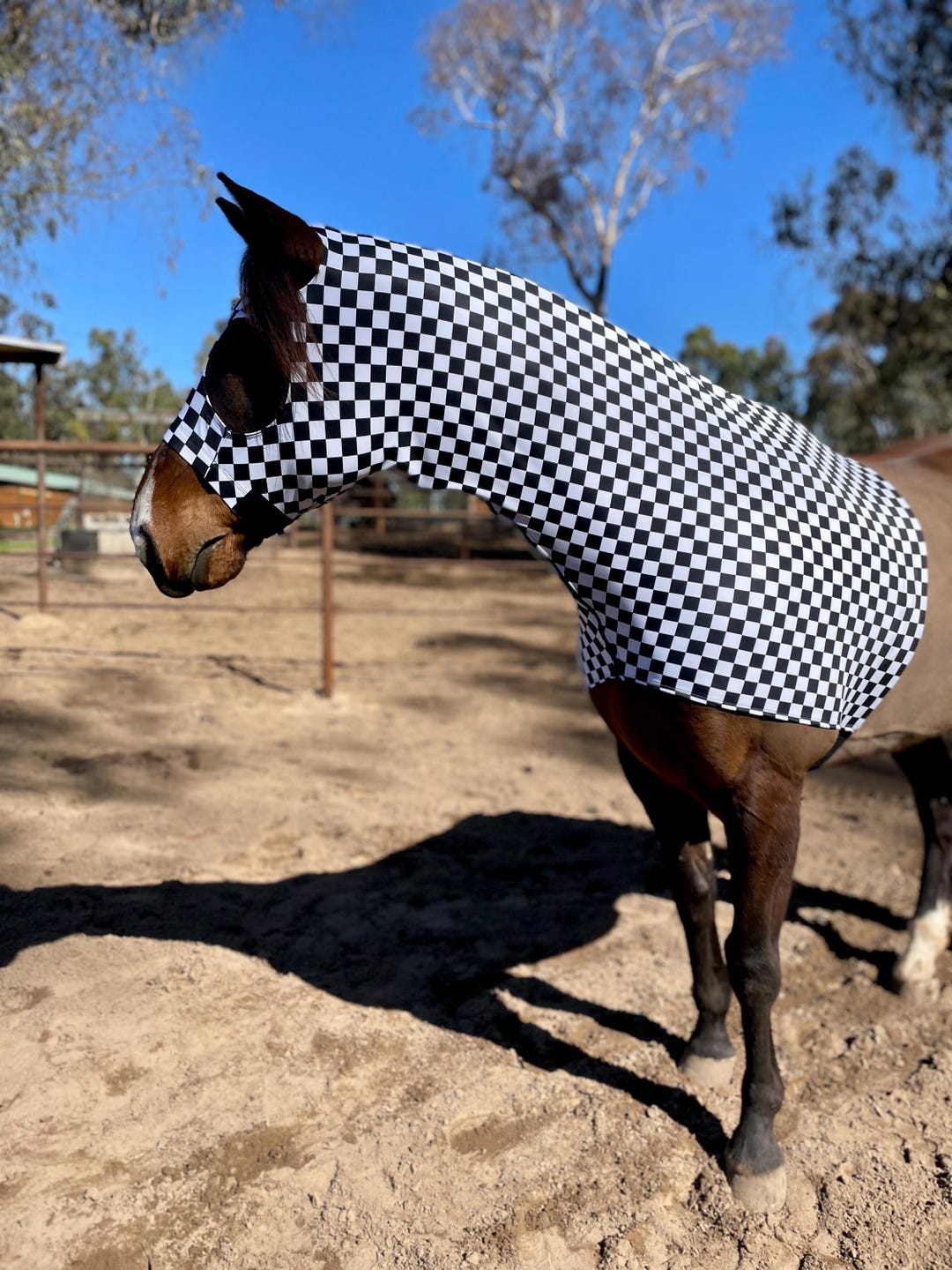 Checkered Print Hood - Sleazy - Etsy