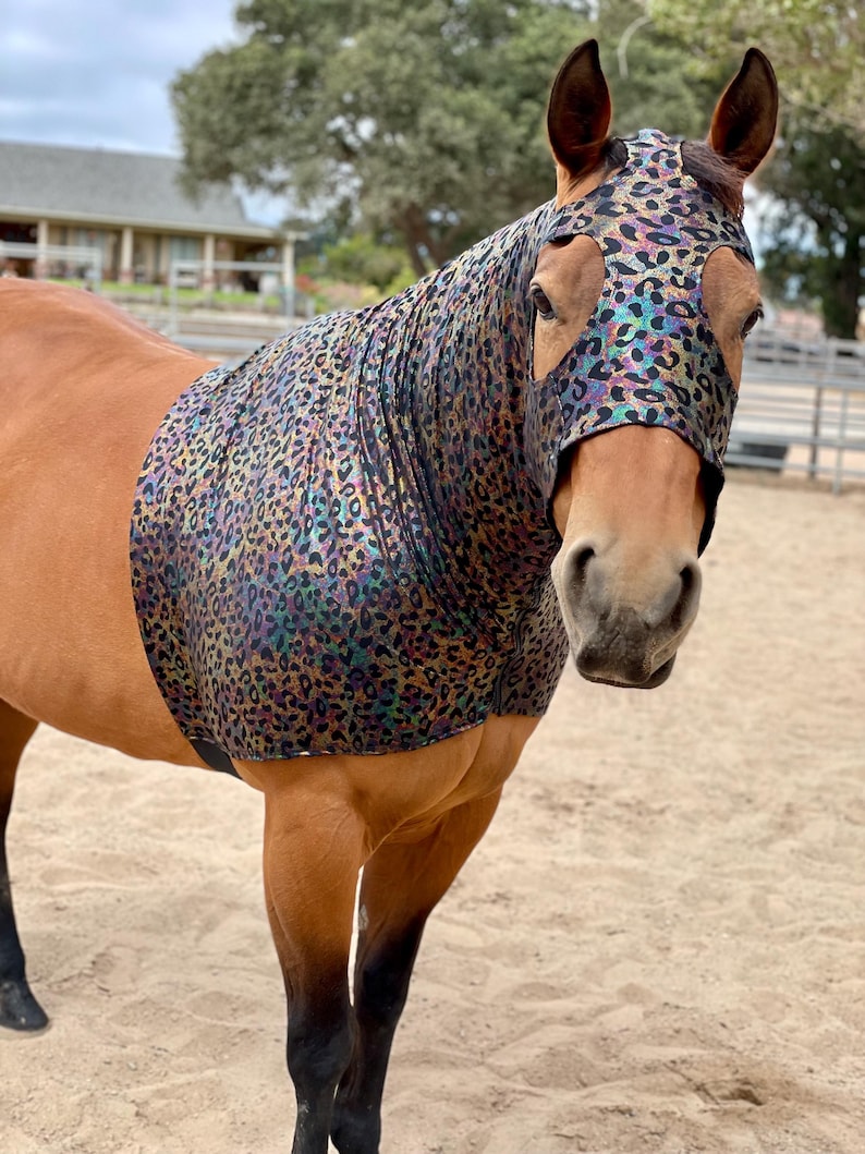 Sparkly Colors Sleazy Horse Hoods- One of a Kind Colors! - Etsy
