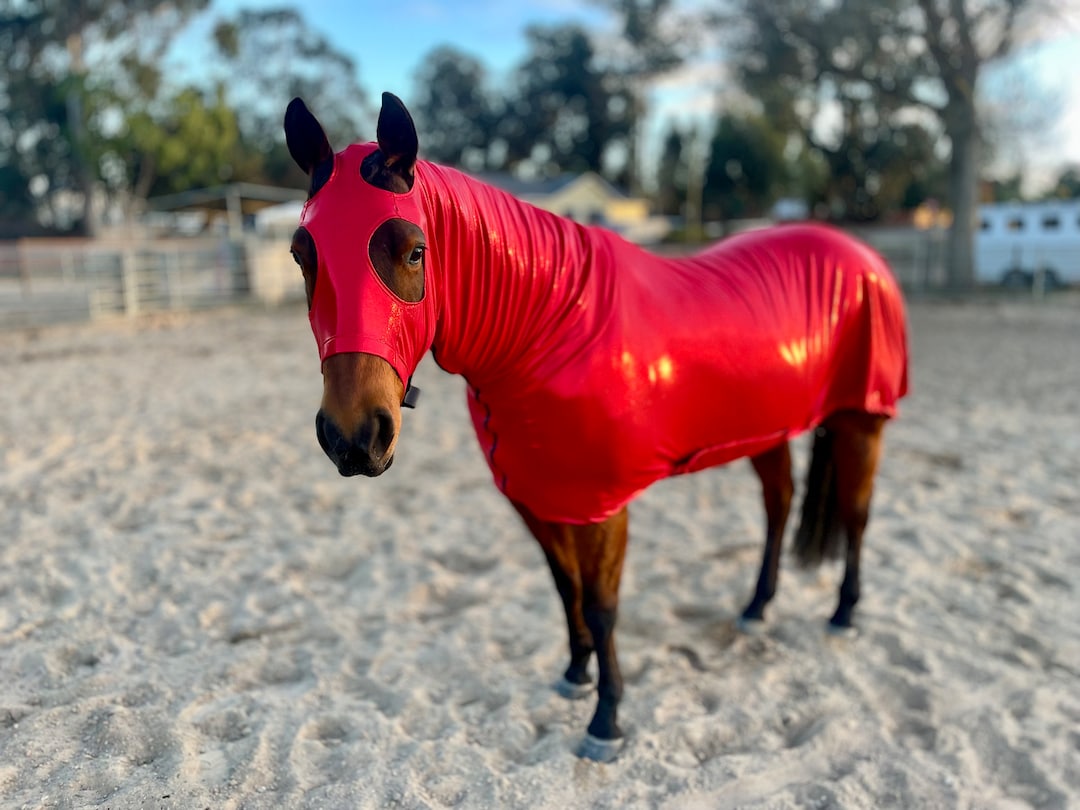 Red Sparkly Full Body Sleazy for Horses - Etsy