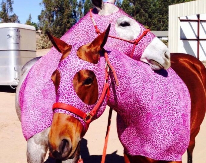 Dragon Hunter Horse Costume Medieval Barding Costume Equine Jousting ...