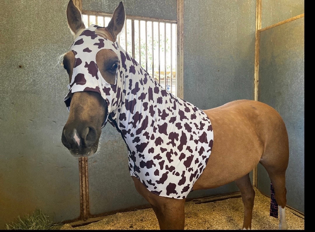 Cow Print Costume for Horses Sleazy Hood - Etsy