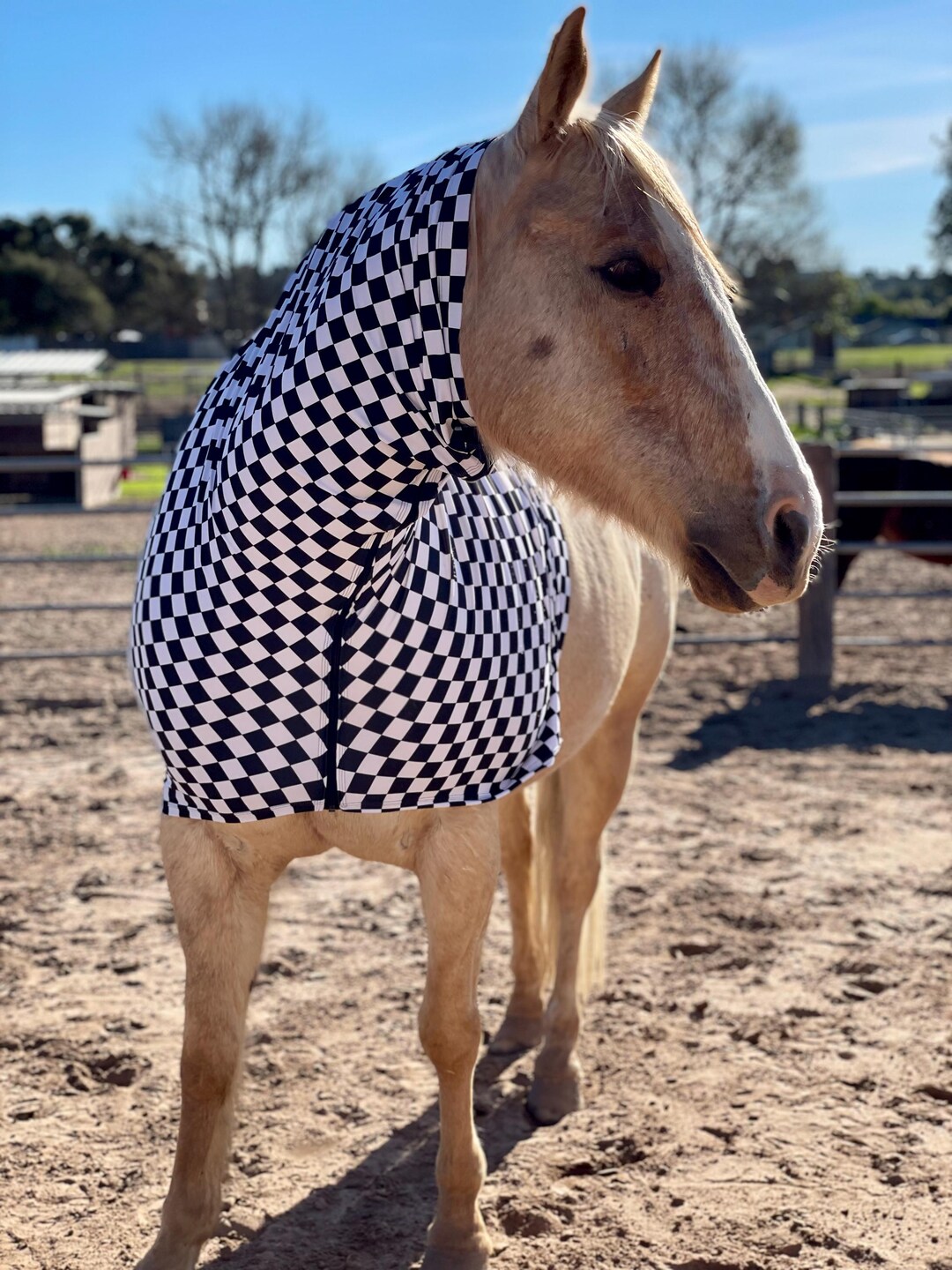 Faceless Checkered Hood - Sleazy - Etsy