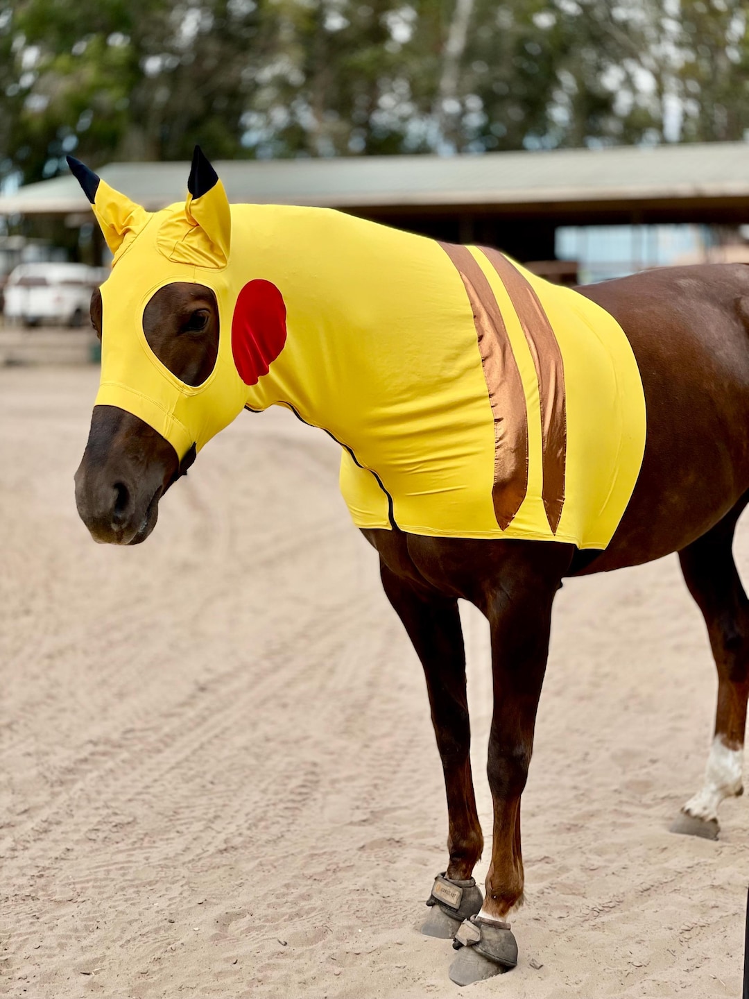 Pikachu Horse Costume Hood - Etsy