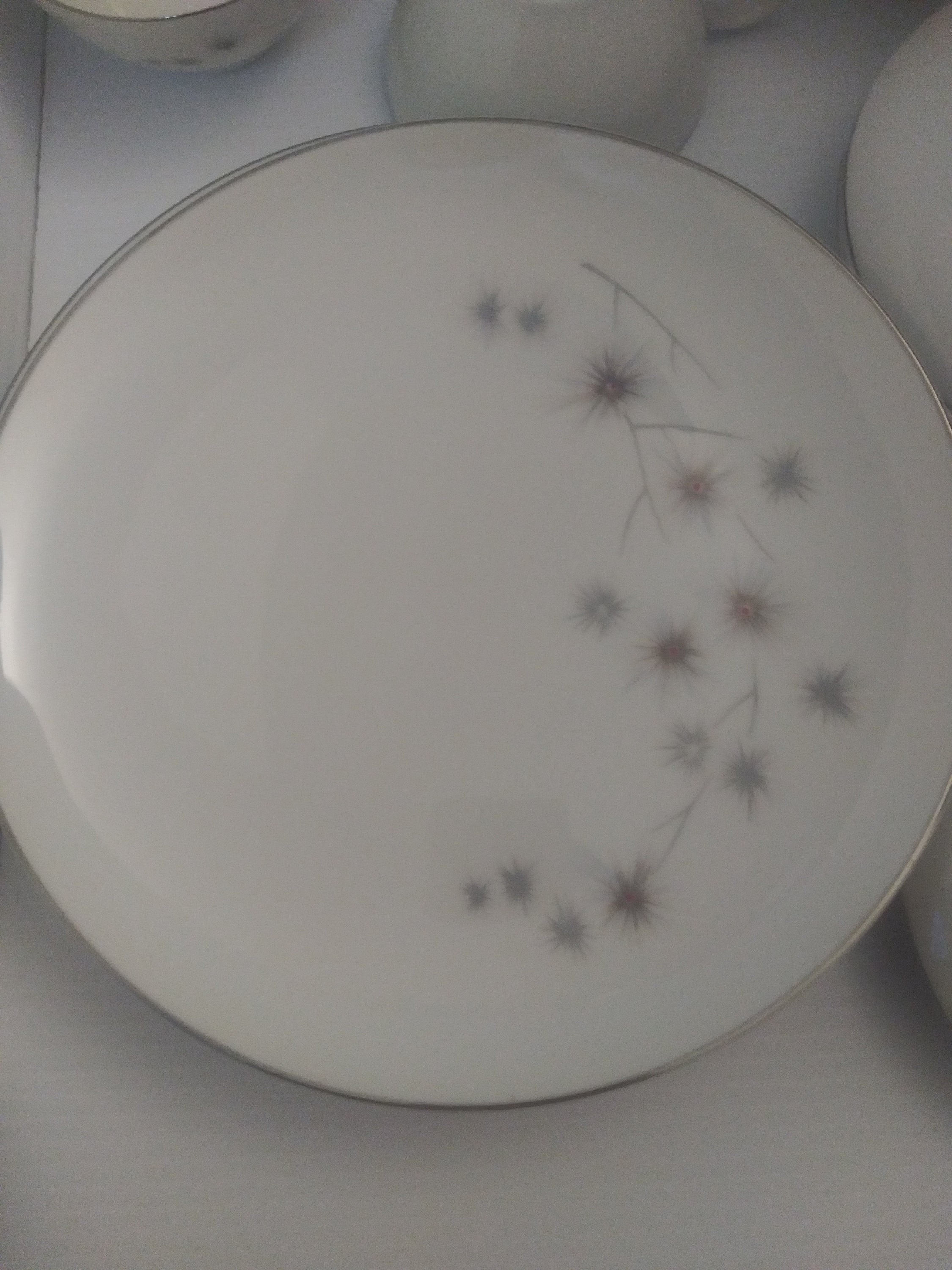 Creative Fine China Japan 1014 Platinum Starburst China (12 Pieces: 3 ...