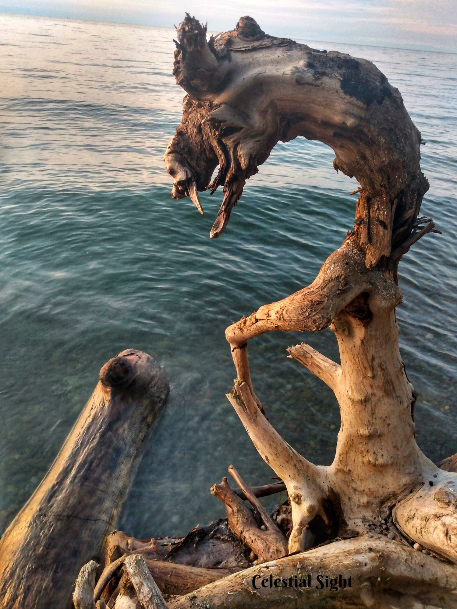Meteor Dragon - Gaasyendietha Lake Ontario Dragon Legend - Print - Etsy